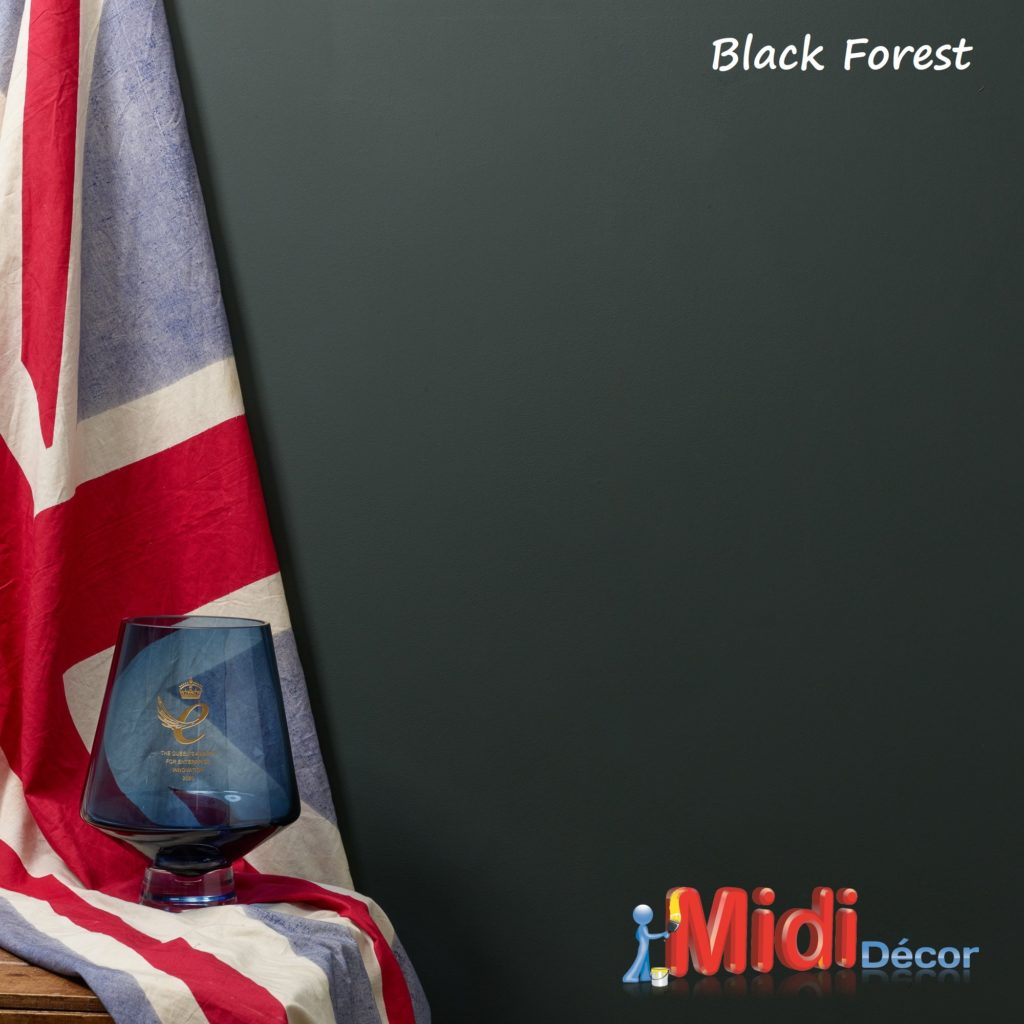 Frenchic - Trim Paint - Black Forest - 500ml | Midi Décor St Chinian